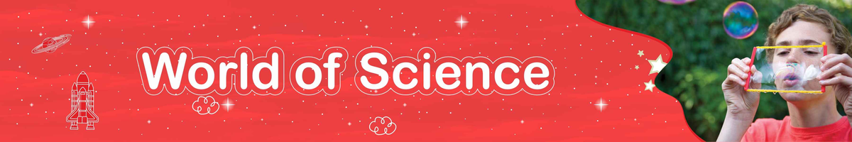 World of Science | Educational Toys – The Toy Room